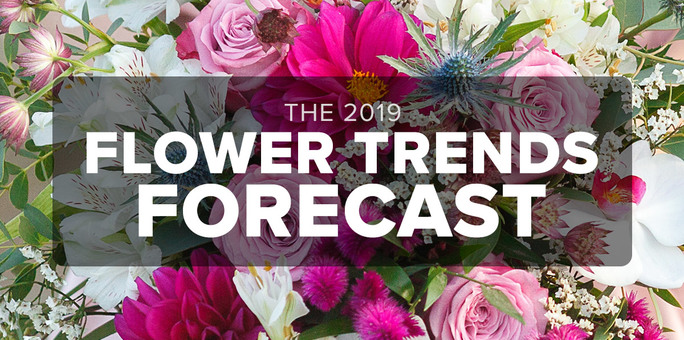 Energetic New Floral Trends | Blossom Flower Shops