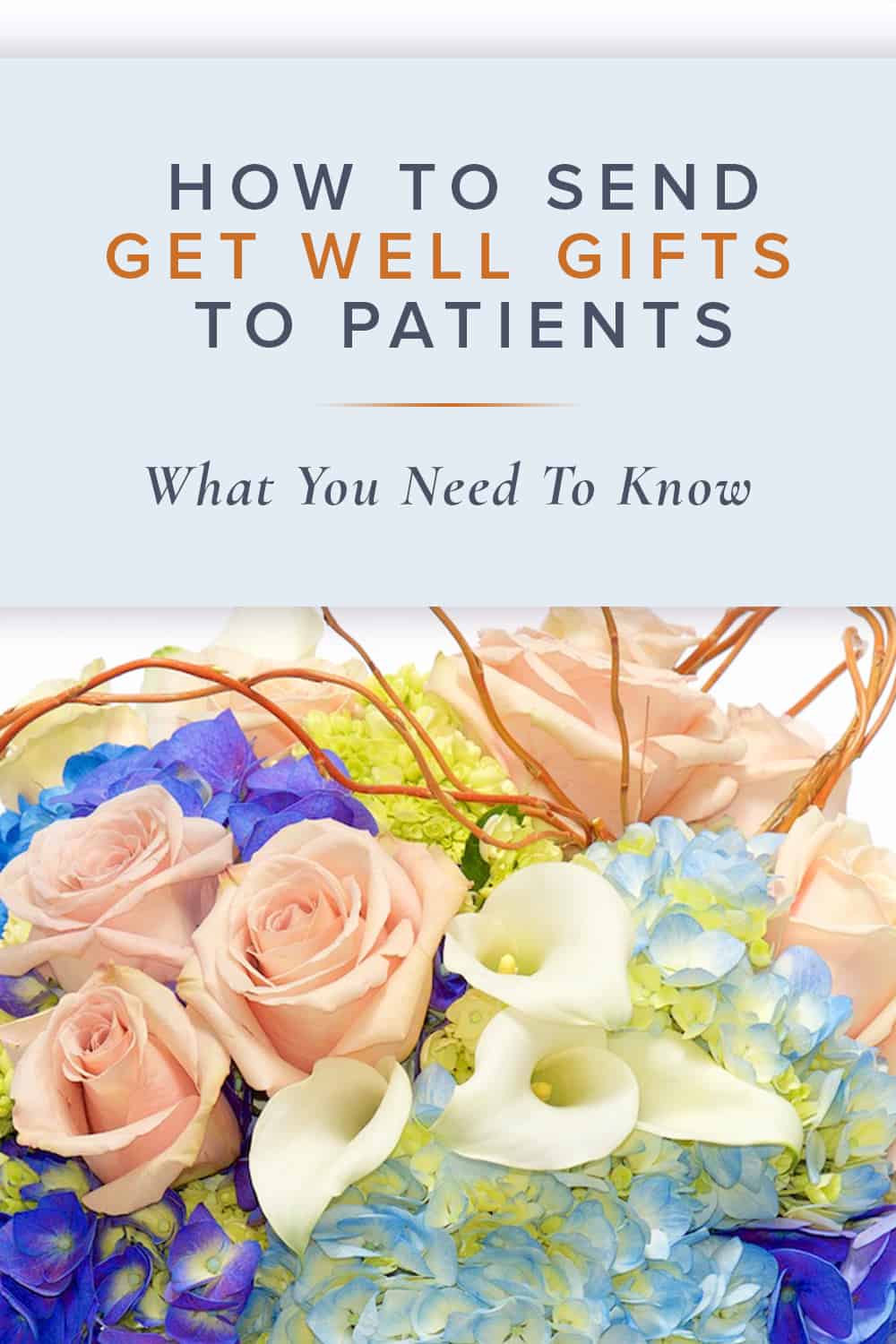 How to Send a Get-Well Plant to Someone in the Hospital | Blossom ...