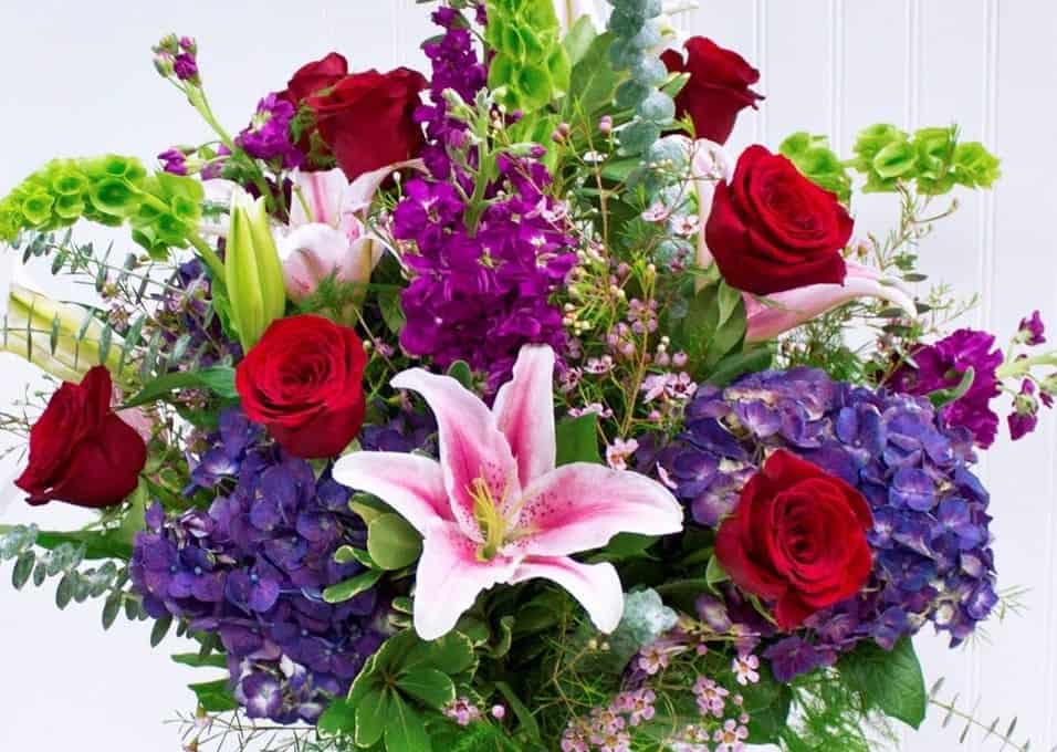 Top Plant and Flower Identification Apps | Blossom Flower Shops